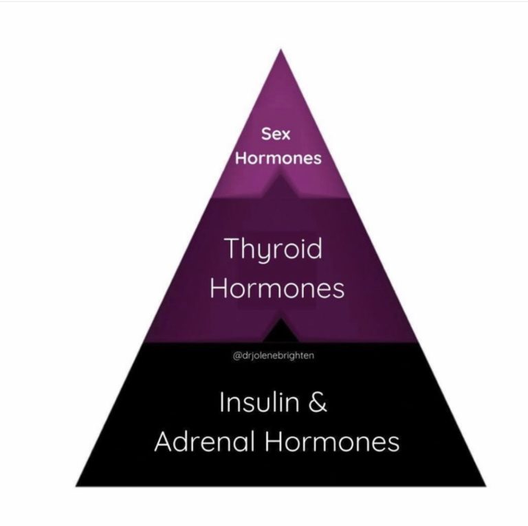 Hormone Hierarchy - Functional Medicine Nutritionist